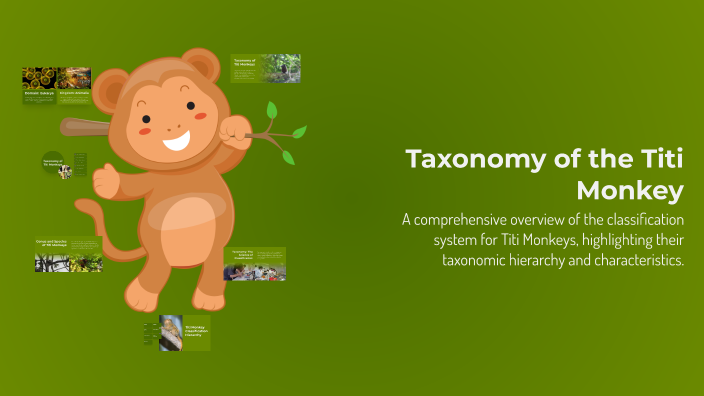 Taxonomy of the Titi Monkey by Leon, Agustin 27 on Prezi
