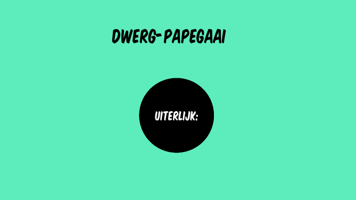 Dwerg-Papegaai by Liyana L | 7B | KbsWeilust on Prezi