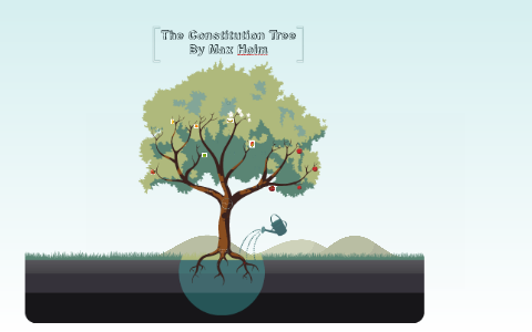 The Constitution Tree by Max Holm on Prezi