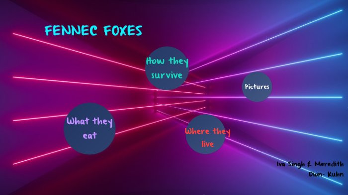 Fennec Foxes by Meredith Dion-Kuhn on Prezi