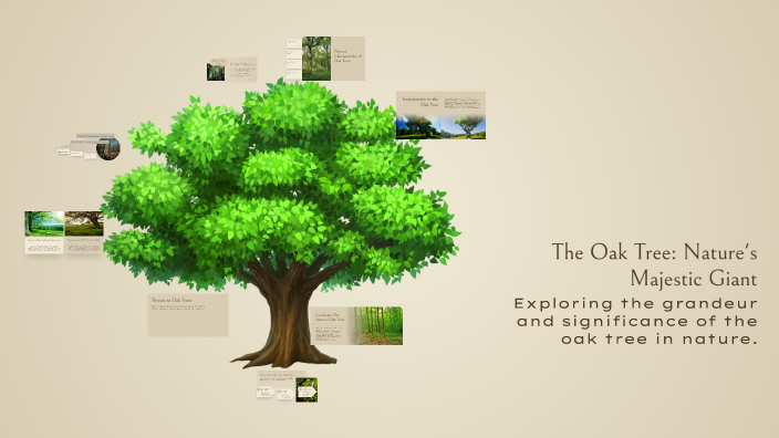 The Oak Tree: Nature's Majestic Giant by Marcus Hansen on Prezi