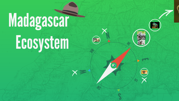 Madagascar Ecosystem by sara weaver on Prezi
