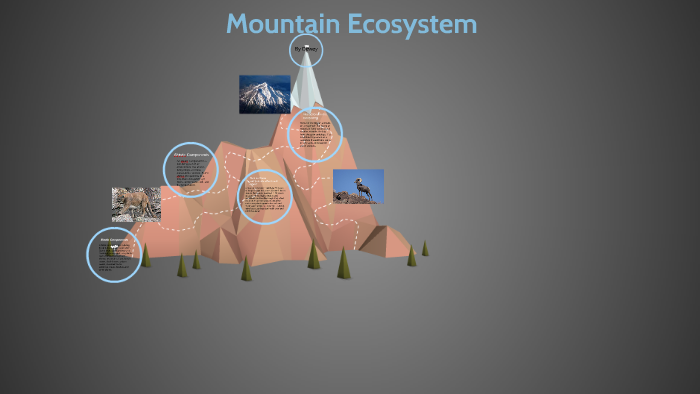 Mountain Ecosystem by Terrance Student on Prezi