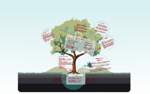 Baza teoretica by Anca Cozma on Prezi