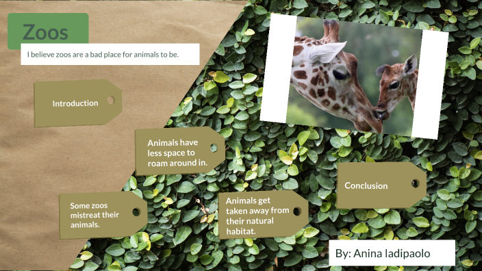 DEBATE ZOOS by Anina Iadipaolo on Prezi