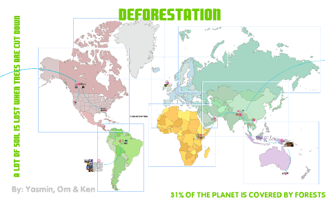 Deforestation Around The World by Yasmin Haley on Prezi
