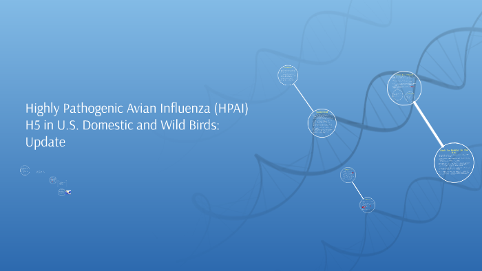 Highly Pathogenic Avian Influenza (HPAI) H5 in U.S. Domestic by Michael ...