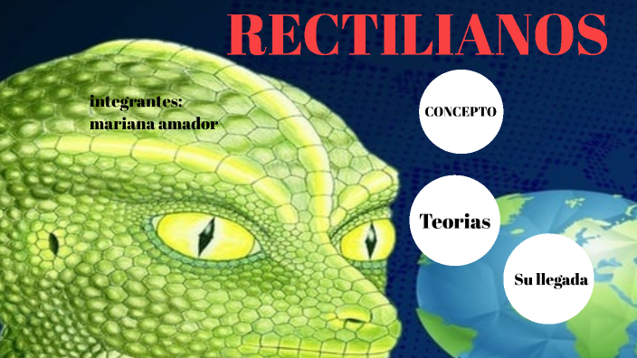RECTILIANOS by mariana amador on Prezi