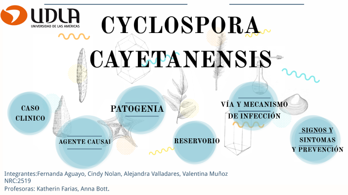 Cyclospora cayetanensis by fernanda aguayo on Prezi