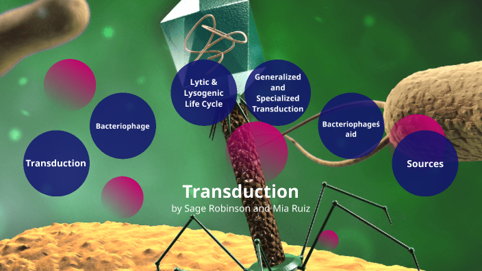 Transduction Gene Transfer by sage robinson on Prezi