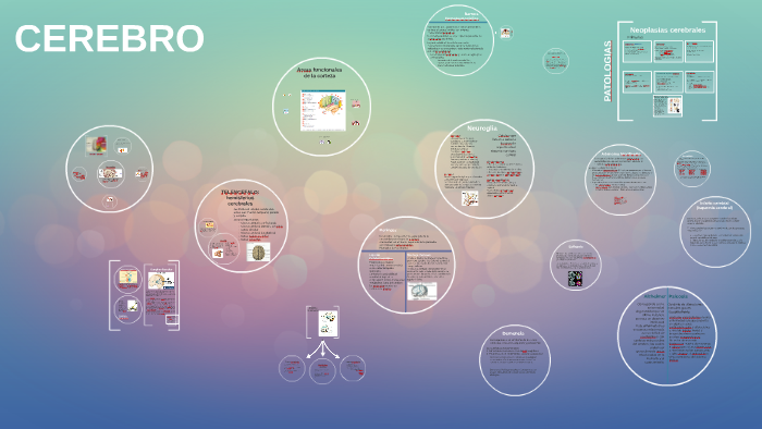 CEREBRO by Ana Madriz Cantillo on Prezi