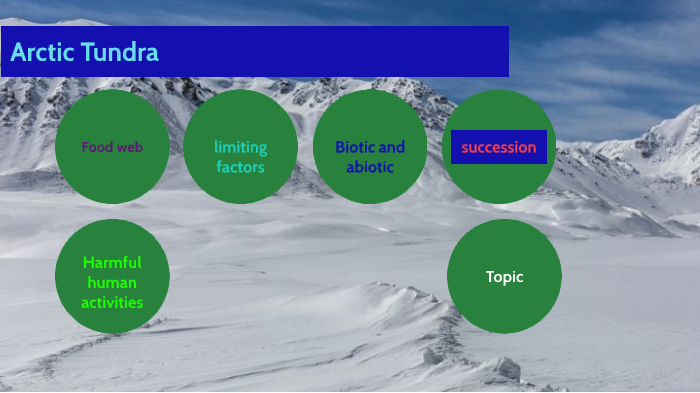 Arctic Tundra Ecosystem by Evan K on Prezi