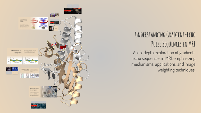 Understanding Gradient-Echo Pulse Sequences in MRI by Ali Haddadi on Prezi