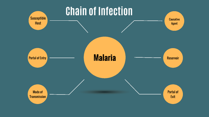 Malaria by Kira Stevenson on Prezi