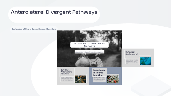 Anterolateral Divergent Pathways by Nick Goldsmith on Prezi
