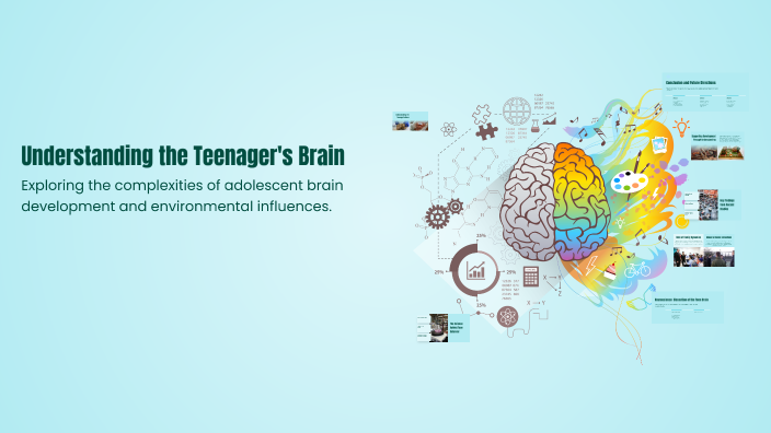 Understanding the Teenager's Brain by Some One on Prezi