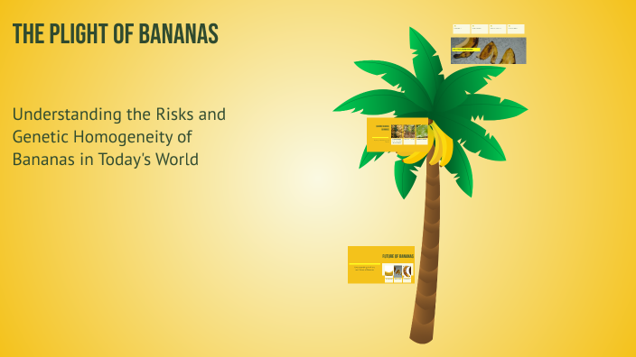 The Plight of Bananas by Boden Lee-Feinberg on Prezi