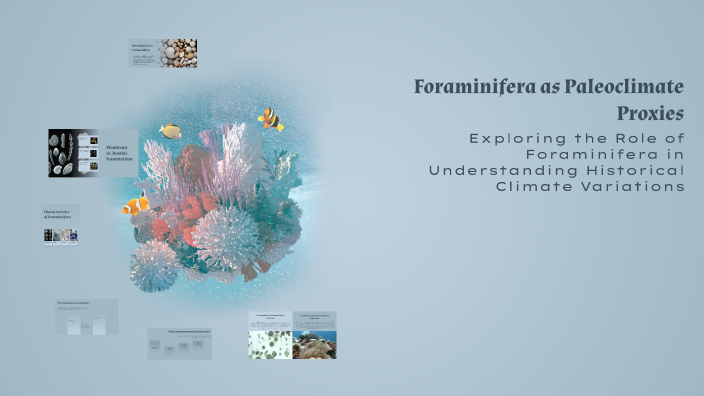 Foraminifera as Paleoclimate Proxies by Subham Dutta on Prezi