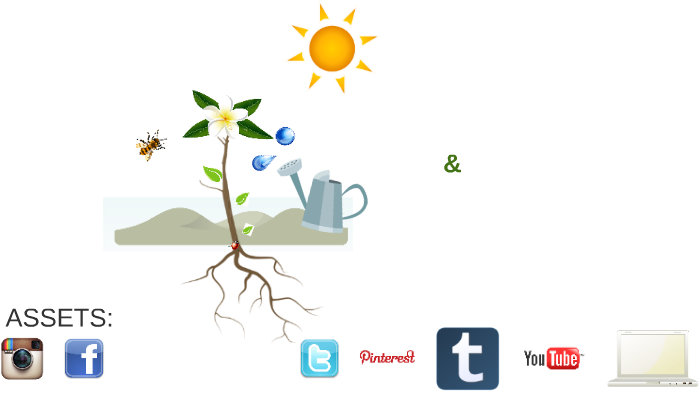 & by Chris Panetta on Prezi
