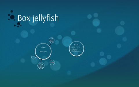 The Evolution of Jellyfish by Claire Burns on Prezi