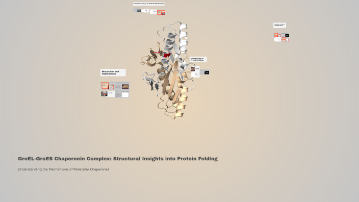 GroEL-GroES Chaperonin Complex: Structural Insights into Protein ...
