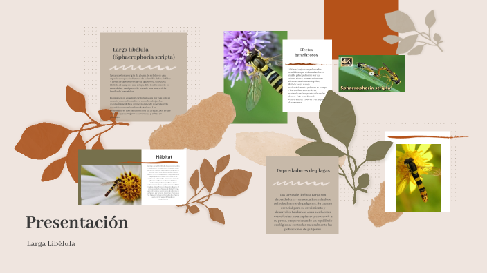 Efectos beneficiosos by Yoselin Solano on Prezi