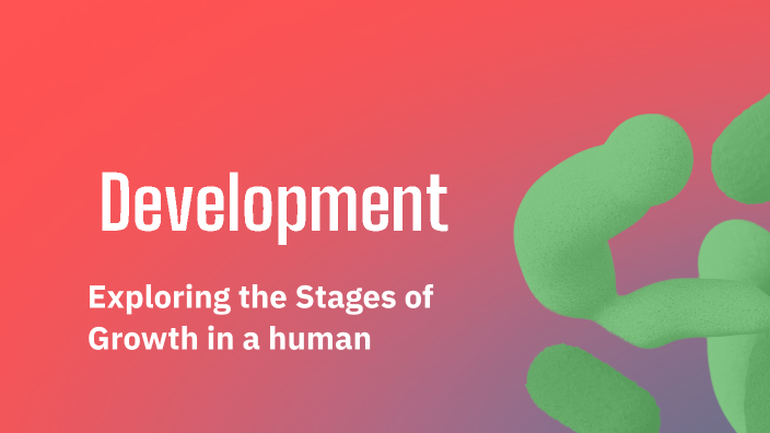 Physical Development of a Human by Jacksyn Fitzsimons on Prezi