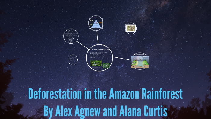 Deforestation in the Amazon Rainforest by Alex Agnew