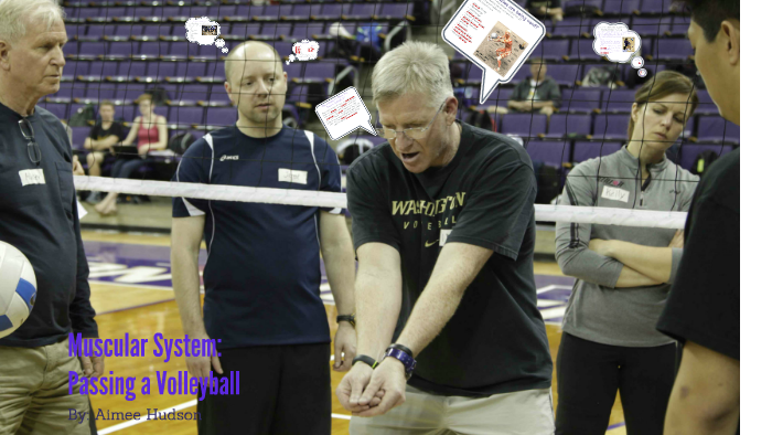 Muscular System Involved in Passing a Volleyball by Aimee Hudson on Prezi