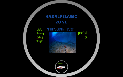 HADALPELAGIC ZONE by kelsey sewell on Prezi