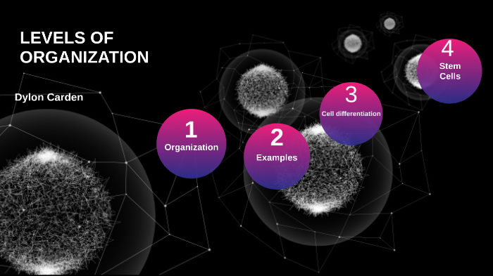 Levels of Organization Presentation by Dylon Carden on Prezi
