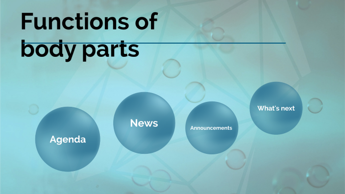 functions of body parts by Taniya Nagi on Prezi