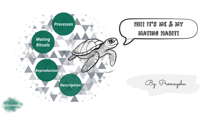 Box Turtles' Mating Habit by Progga Anjan Athoy on Prezi