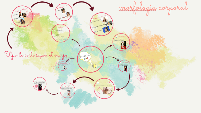 morfologia corporal by Marta Rojas on Prezi