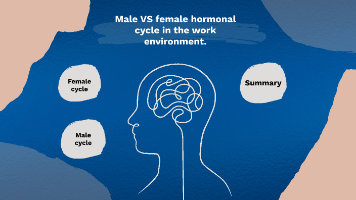 Comparaison of the female VS male hormonal cycle in the work ...
