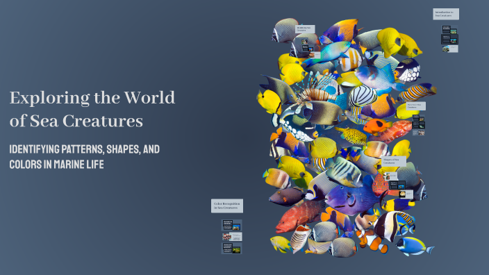 Exploring the World of Sea Creatures by Simon Fitzpatrick on Prezi