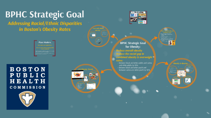 BPHC Strategic Goals by Nicole Ferraro on Prezi