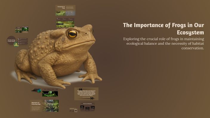 The Importance of Frogs in Our Ecosystem by Nur Adii on Prezi