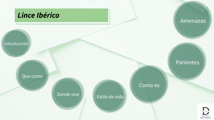 Lince ibérico by DANIEL RUIZ PAJARES on Prezi