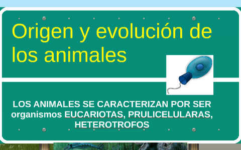 origen y evolución de los animales by Samaii Barrero on Prezi