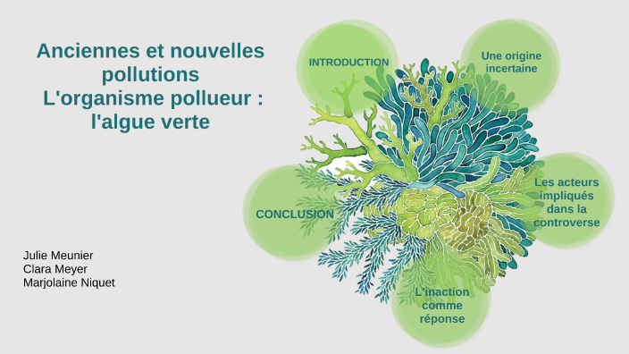 djfjf by marjolaine niquet on Prezi