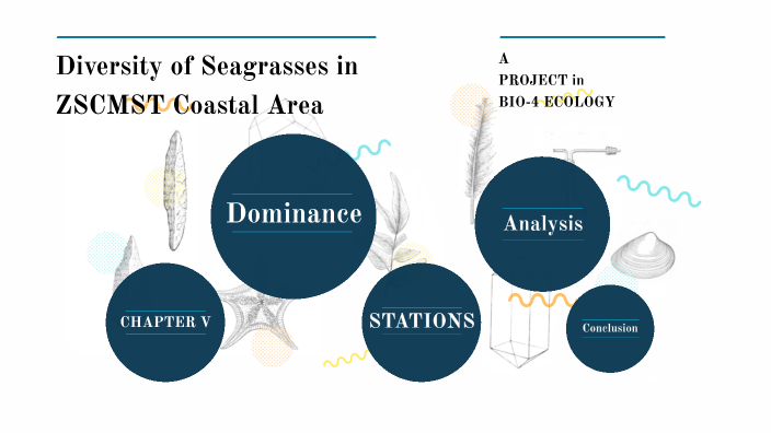 Diversity of Seagrasses in ZSCMST Coastal Area by Rogie Francisco on Prezi
