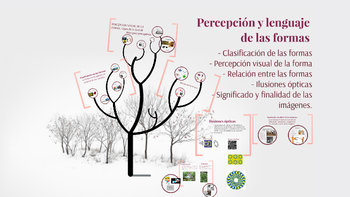 Percepción y lenguaje de las formas by Maria JOse Mariño on Prezi
