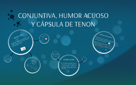 CONJUNTIVA, HUMOR ACUOSO Y CÁPSULA DE TENON by Pamela Cerna on Prezi