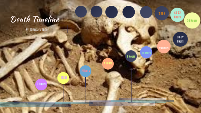 Forensic decomposition Timeline by Bianca Mendez on Prezi