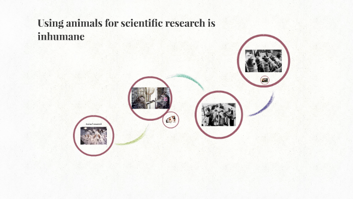 Using animals for scientific research is inhumane by Krystal Romero on ...