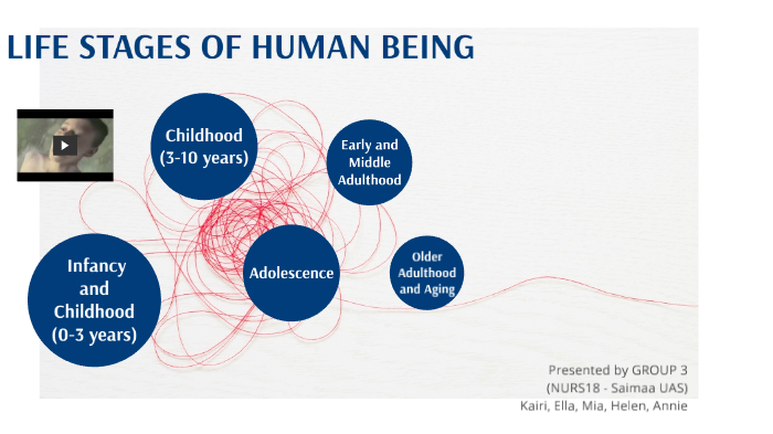 Life Stages of Human Being by Helen Duong on Prezi