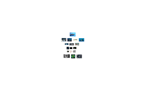 barracuda food chain by erick santos on Prezi