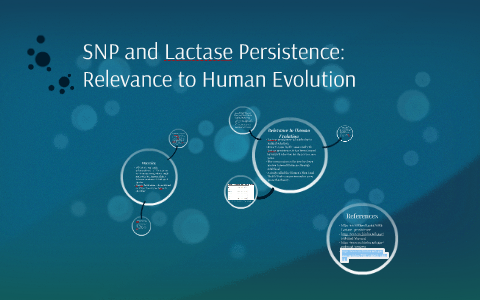 SNP and Lactase Persistence: Relevance to Human Evolution by Quincy ...