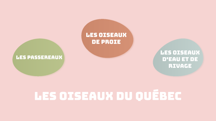 les oiseaux du québec :-) by Caroline Labrie on Prezi